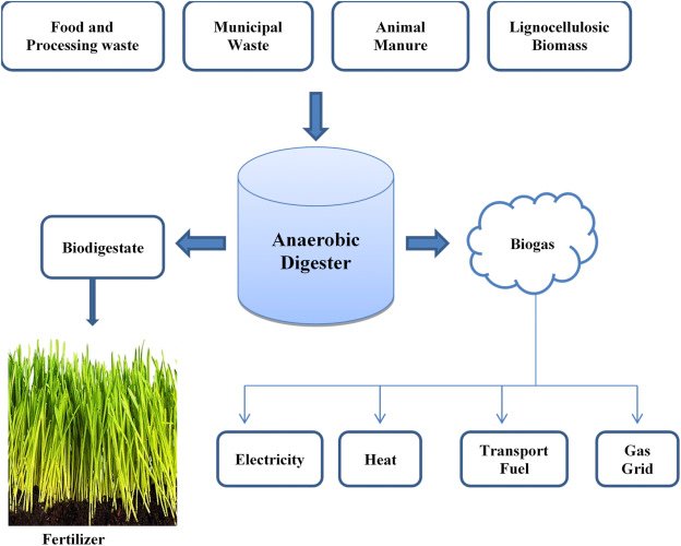 Bio-methanations activity test - Bio Ark