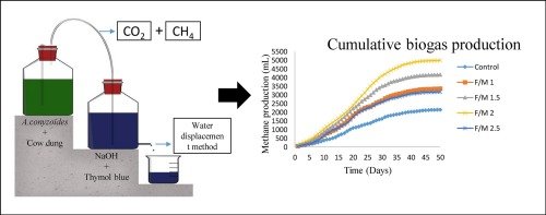 Bio-methane Potential (BMP) test - Bio Ark