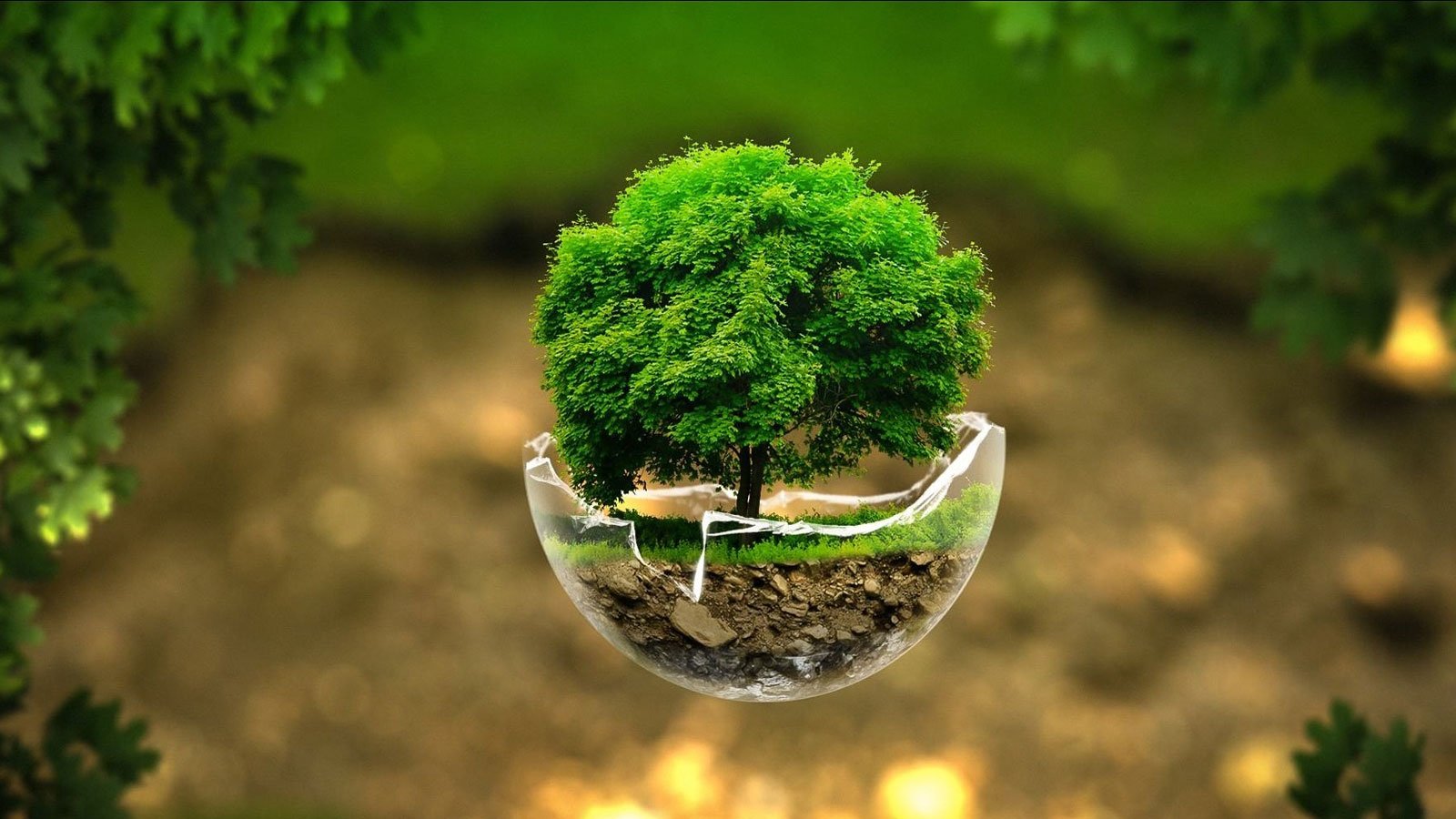 Solid waste Management - Bio Ark